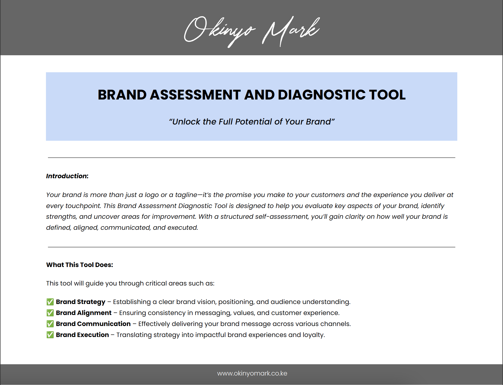 Company Brand Assessment Toolkit - Okinyo Mark